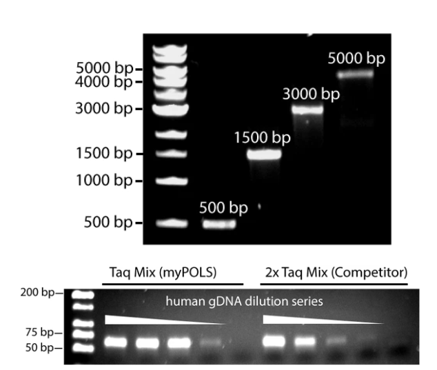 PCR Mixes & Kits | Axis Shield Density Gradient Media